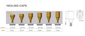 Healing Cap W W – D 5.5mm L 5.0mm (GFB/W5) | LavaDent Online